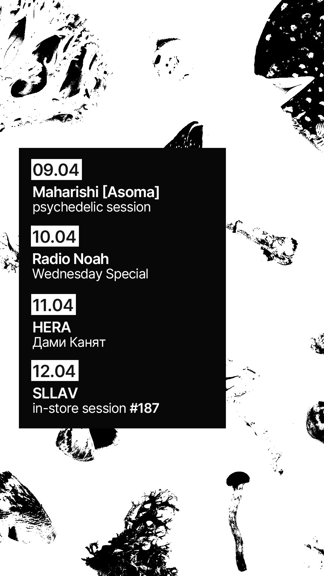 SLLAV - in-store session #187 at Taba Record Store, Sofia