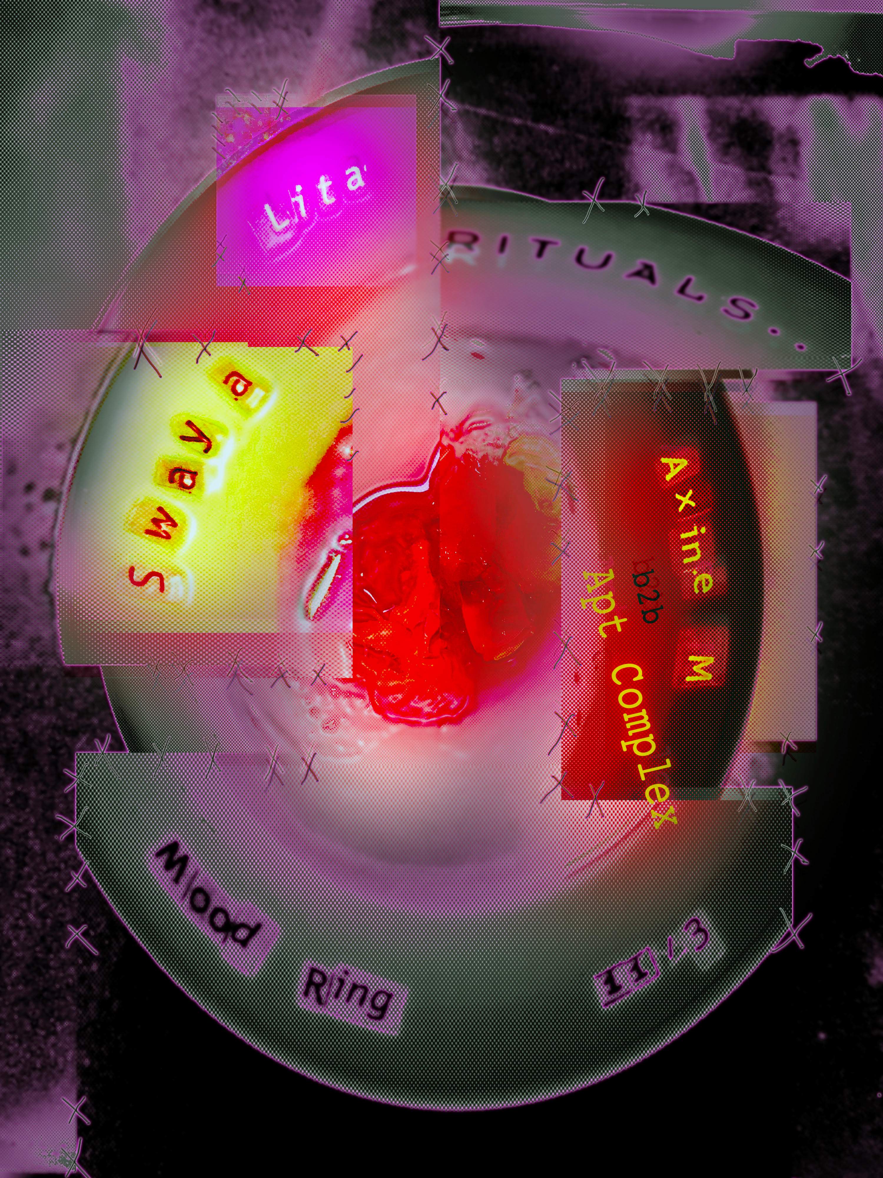 Swaya, Lita, Axine M b2b Apt Complex at Mood Ring, New York City