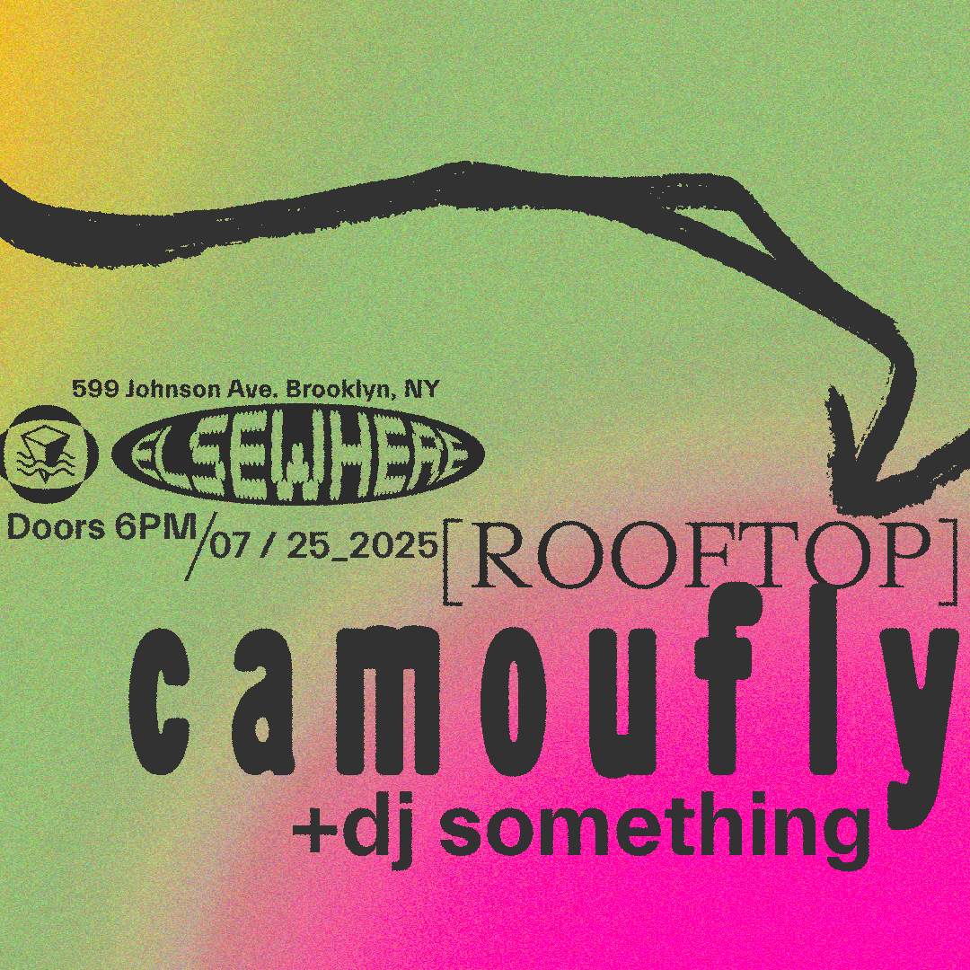 camoufly, dj something at Elsewhere, New York City