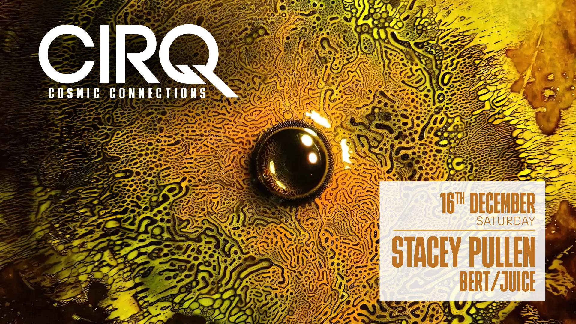 CirQ with Stacey Pullen (Detroit Love), Bert, Juice en Cirq, Venecia