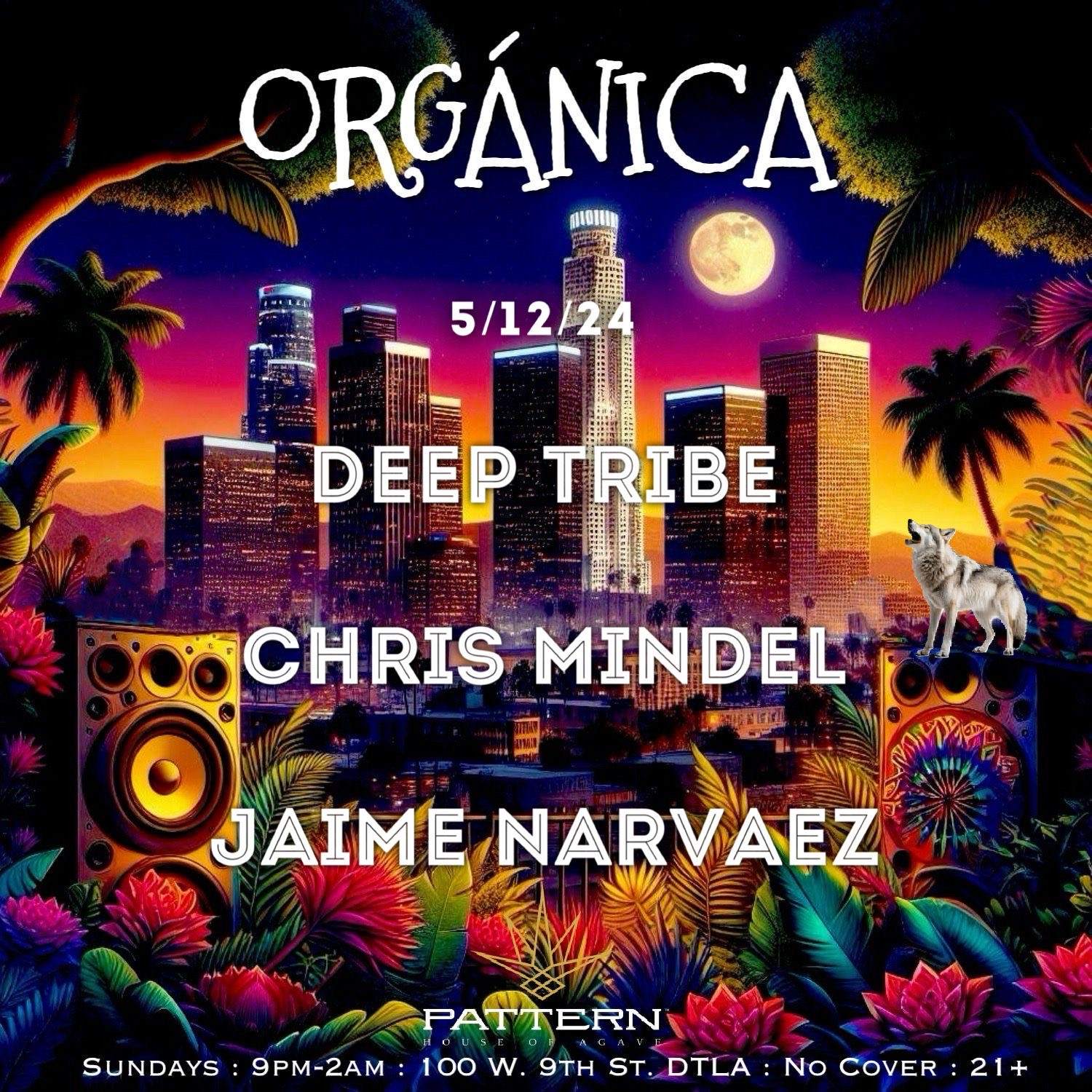ORGÁNICA - Deep Tribe, Chris Mindel & Jaime Narvaez bei Pattern Bar ...
