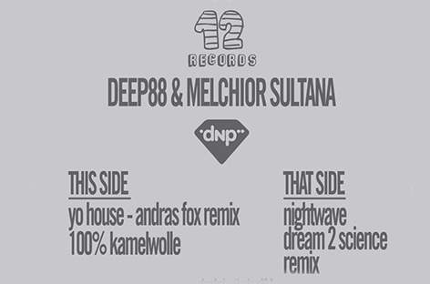 Dream 2 Science surfaces for remix on 12 Records · News RA