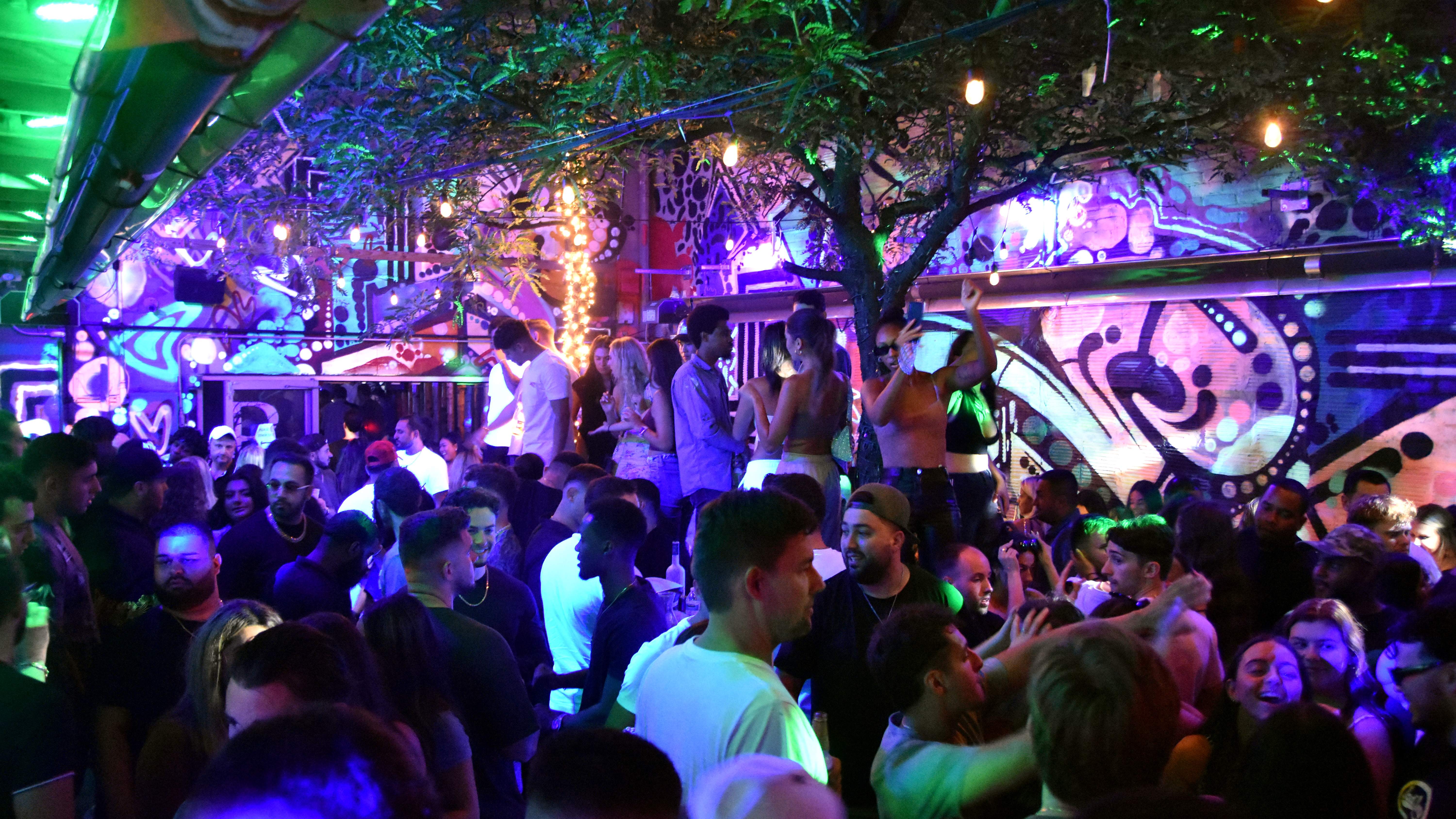 Bosco Ferndale, Detroit · Upcoming Events & Tickets