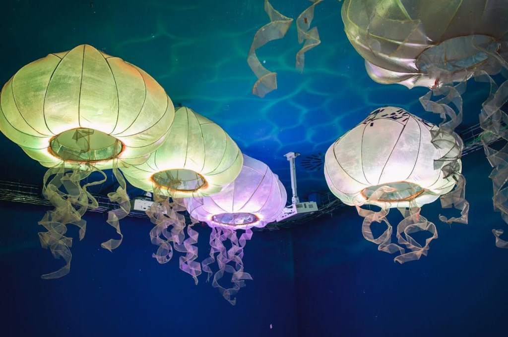 Husky Room at Verne Barcelona ( Aribau 150), Barcelona