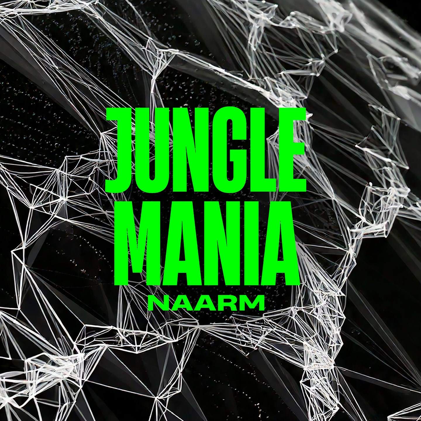 Jungle Mania Logo Jungle Mania | Thing