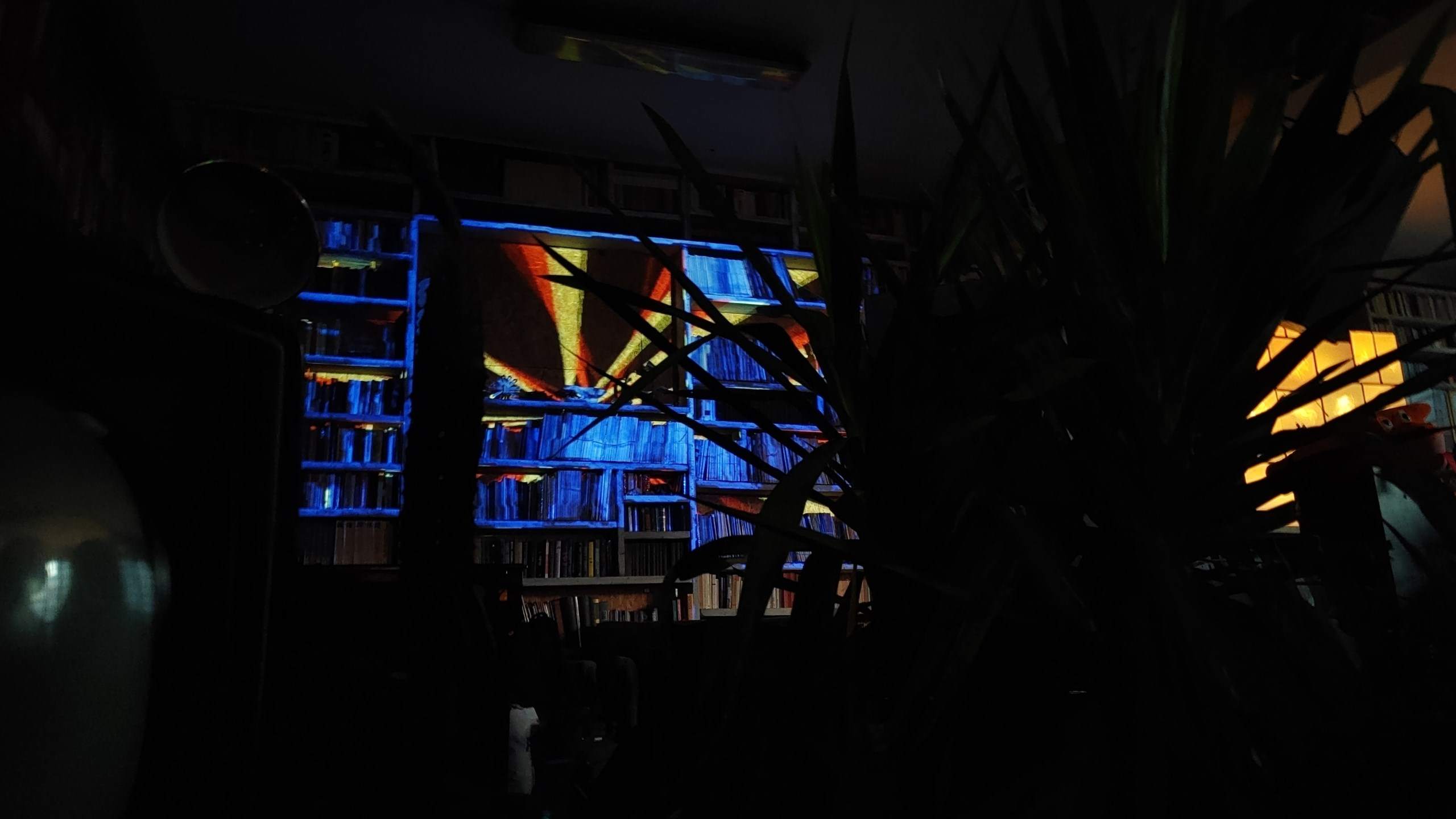 Münch · Artist Profile