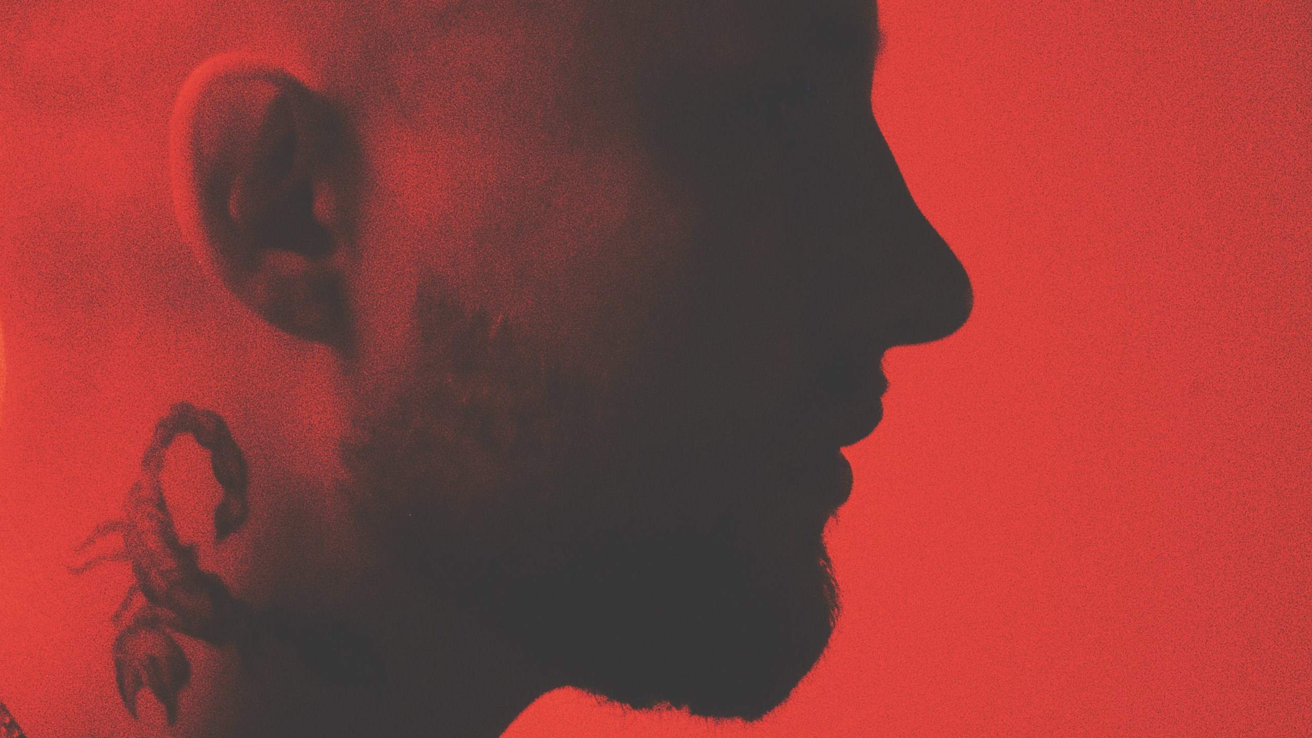NENDZA · Perfil del artista