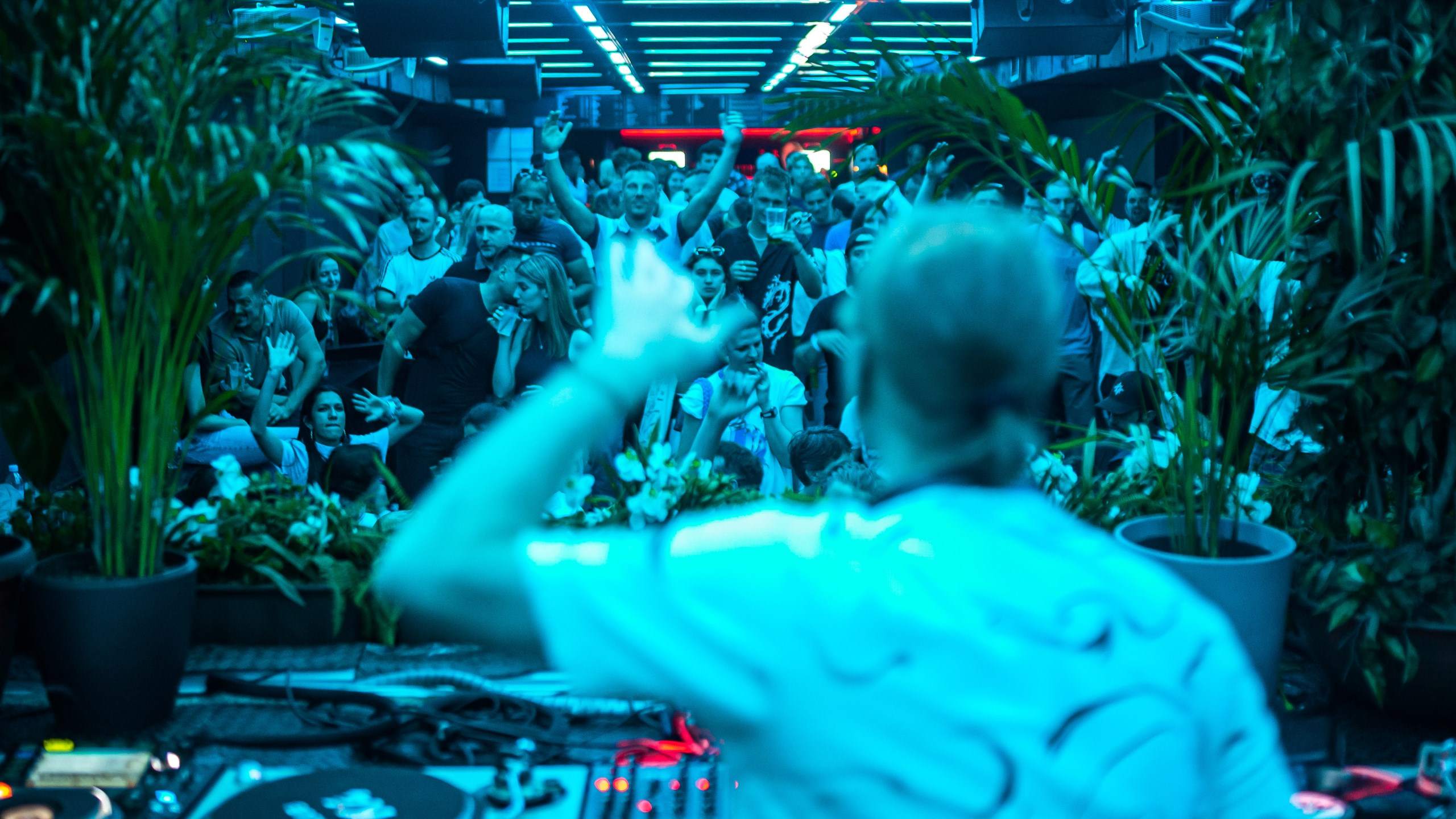 Adam Collins · Artist Profile