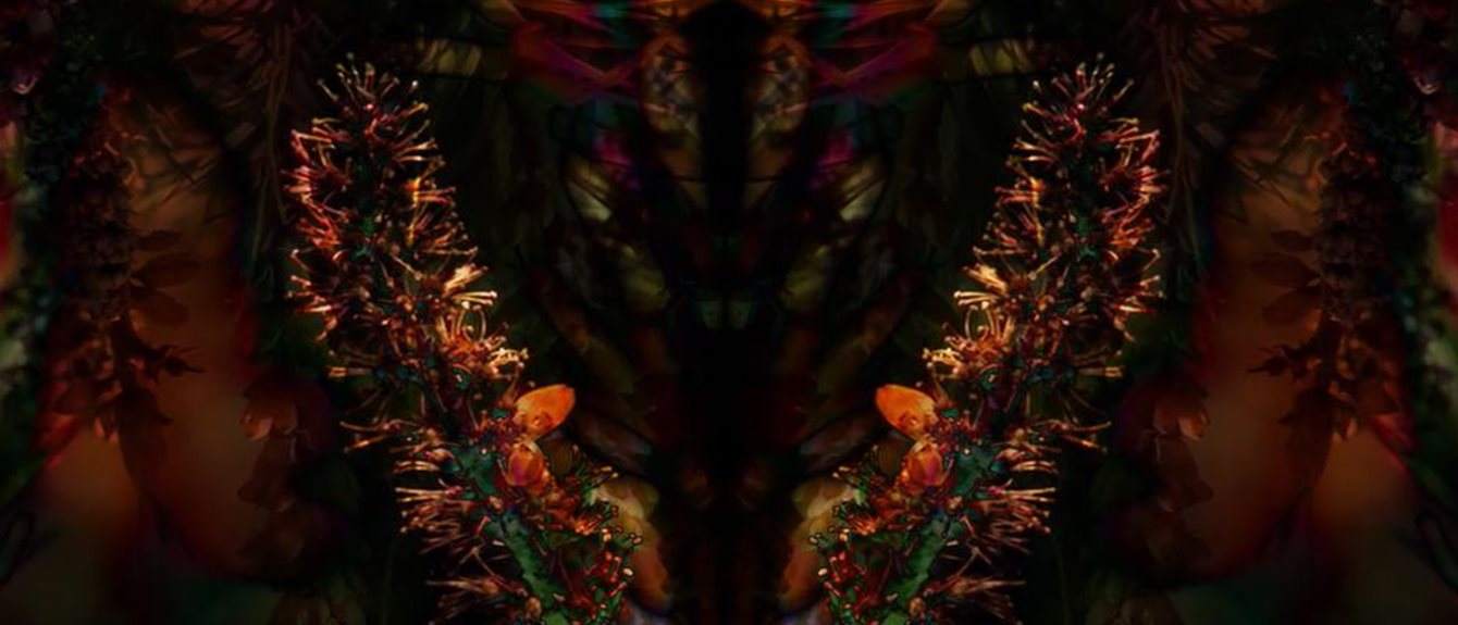 Aldeen · Künstler*inprofil