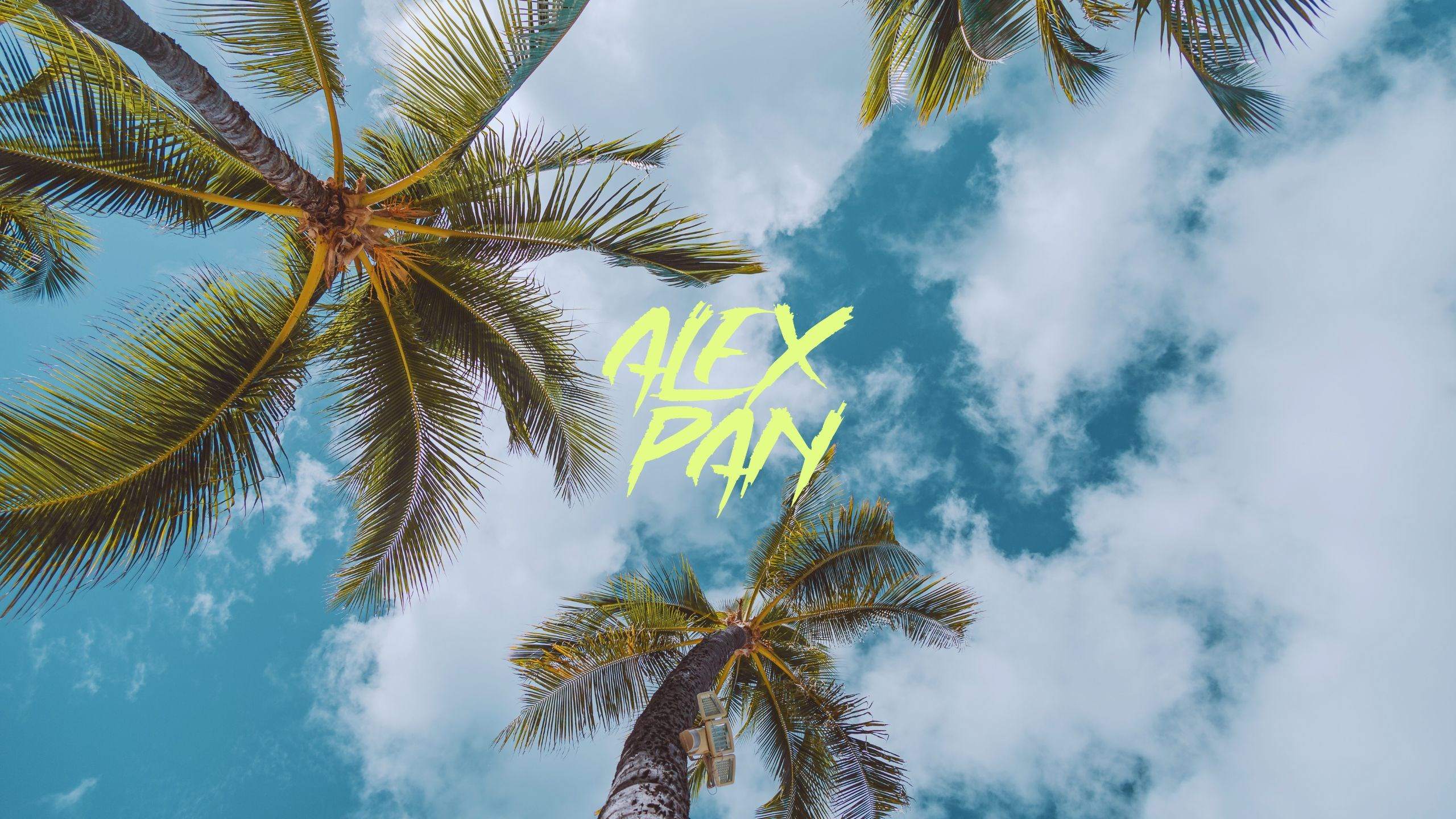 ALEX PAN · Artist Profile