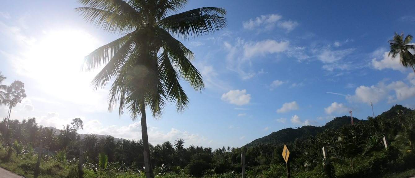 Ali Kuru · Artist Profile