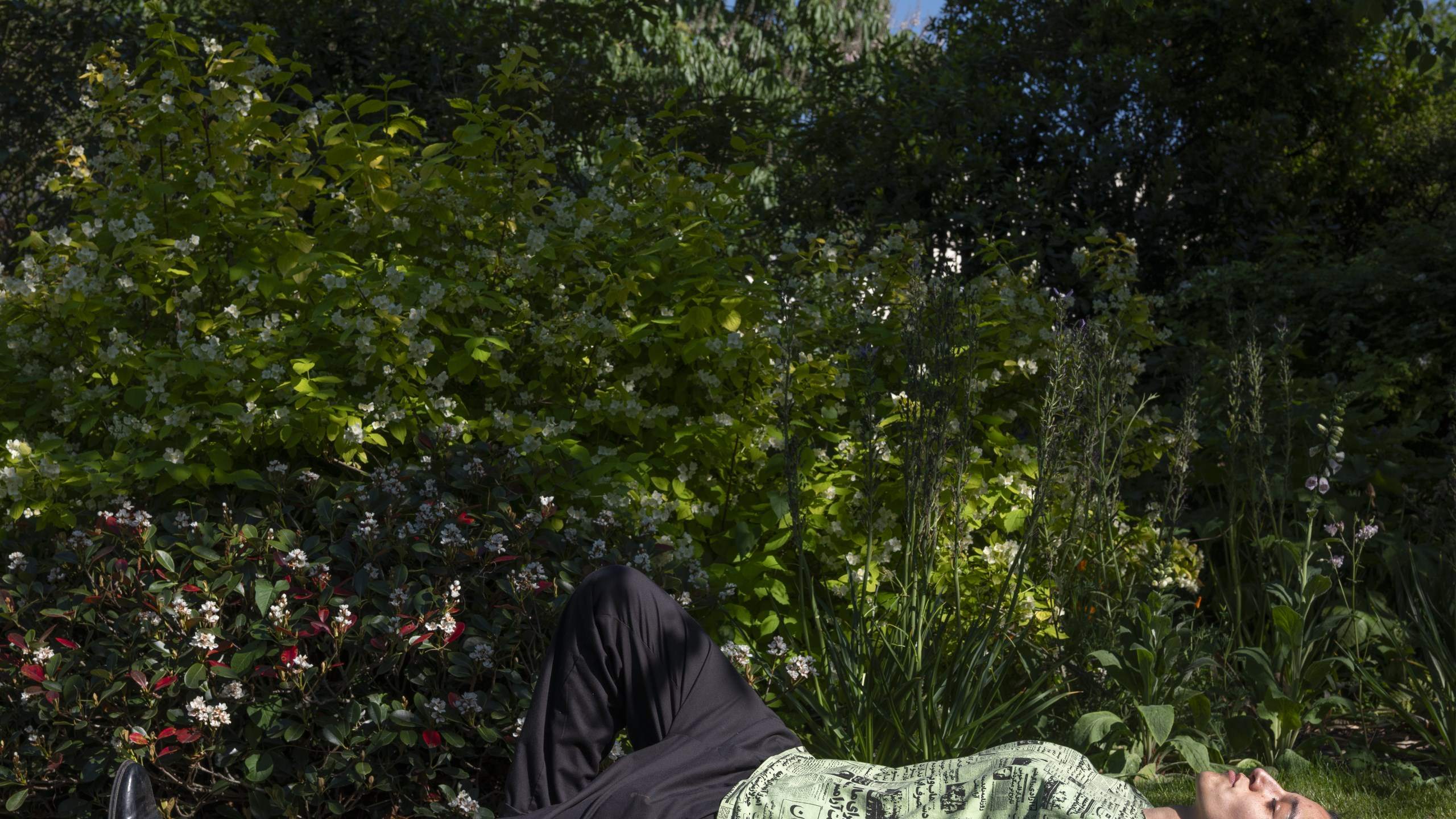 Anahita Shamsaei · Artist Profile