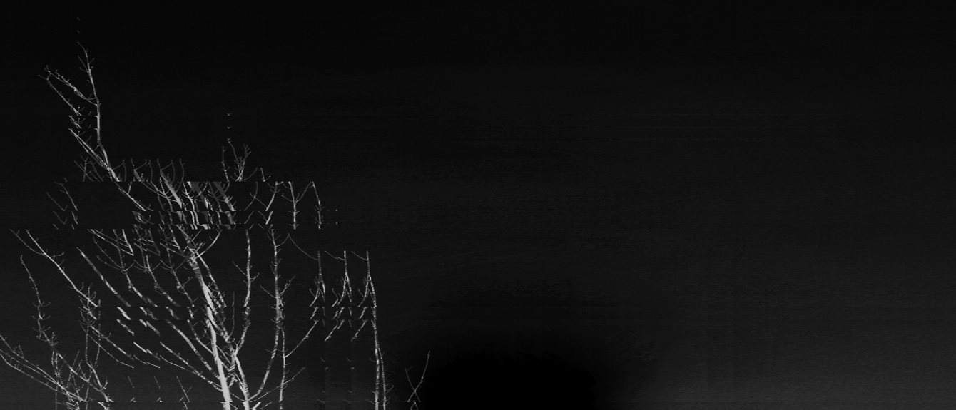 Aplx · Artist Profile