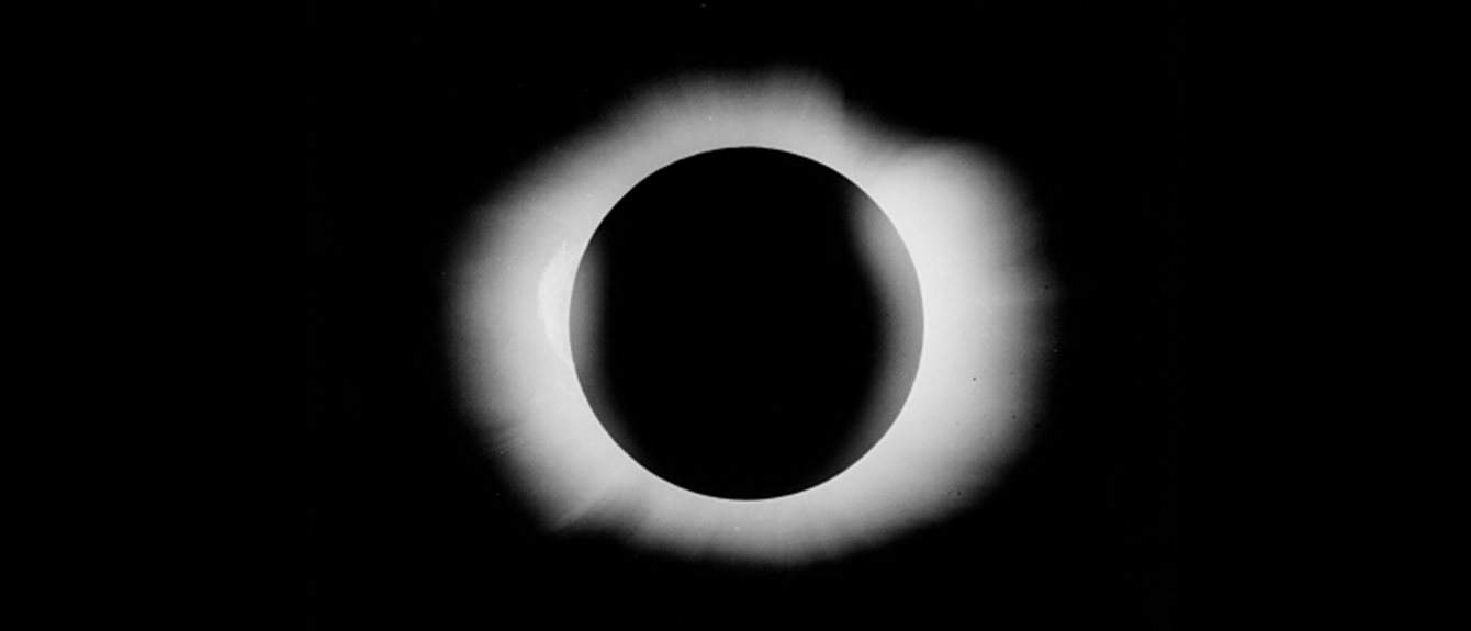 Cyence · Artist Profile