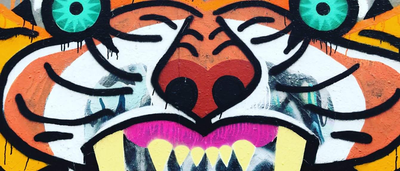 Carla Lyn · Künstler*inprofil