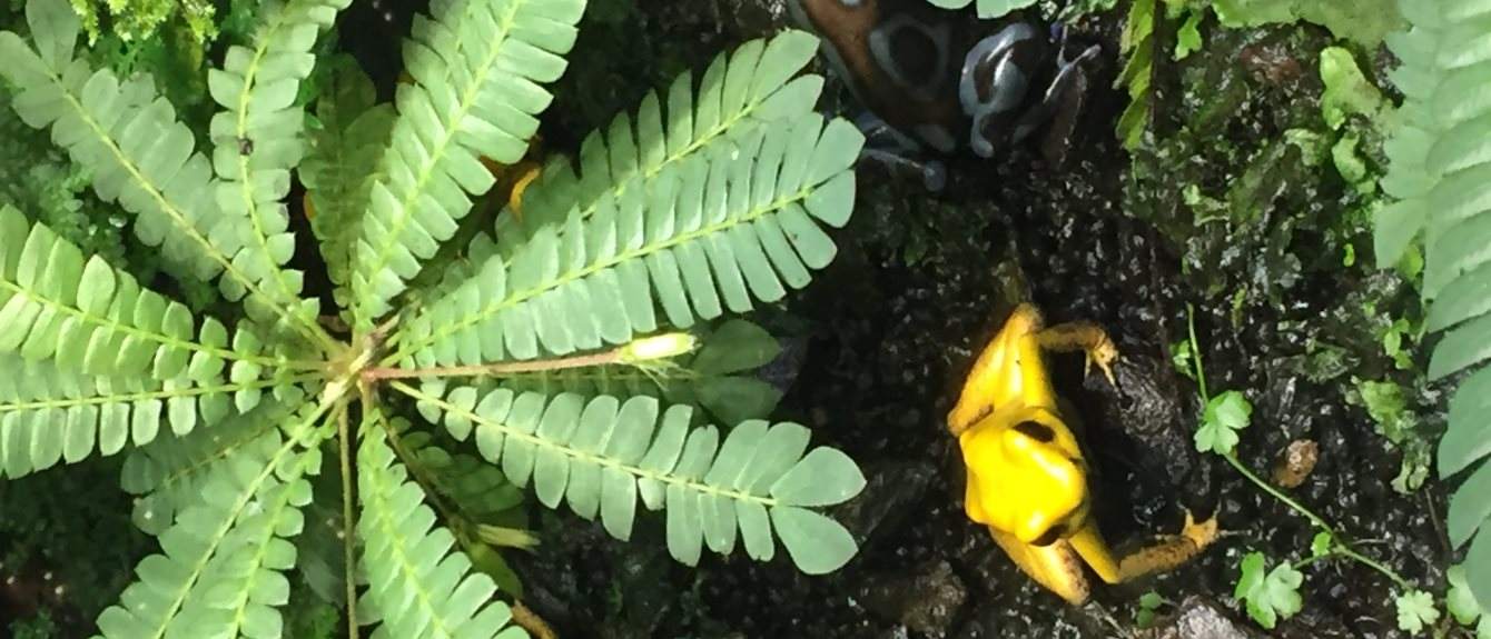 Danya · Artist Profile