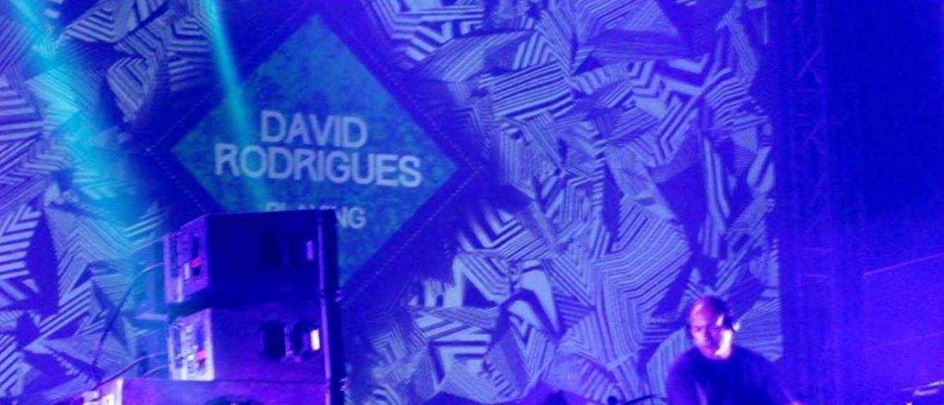 David Rodrigues · Artist Profile