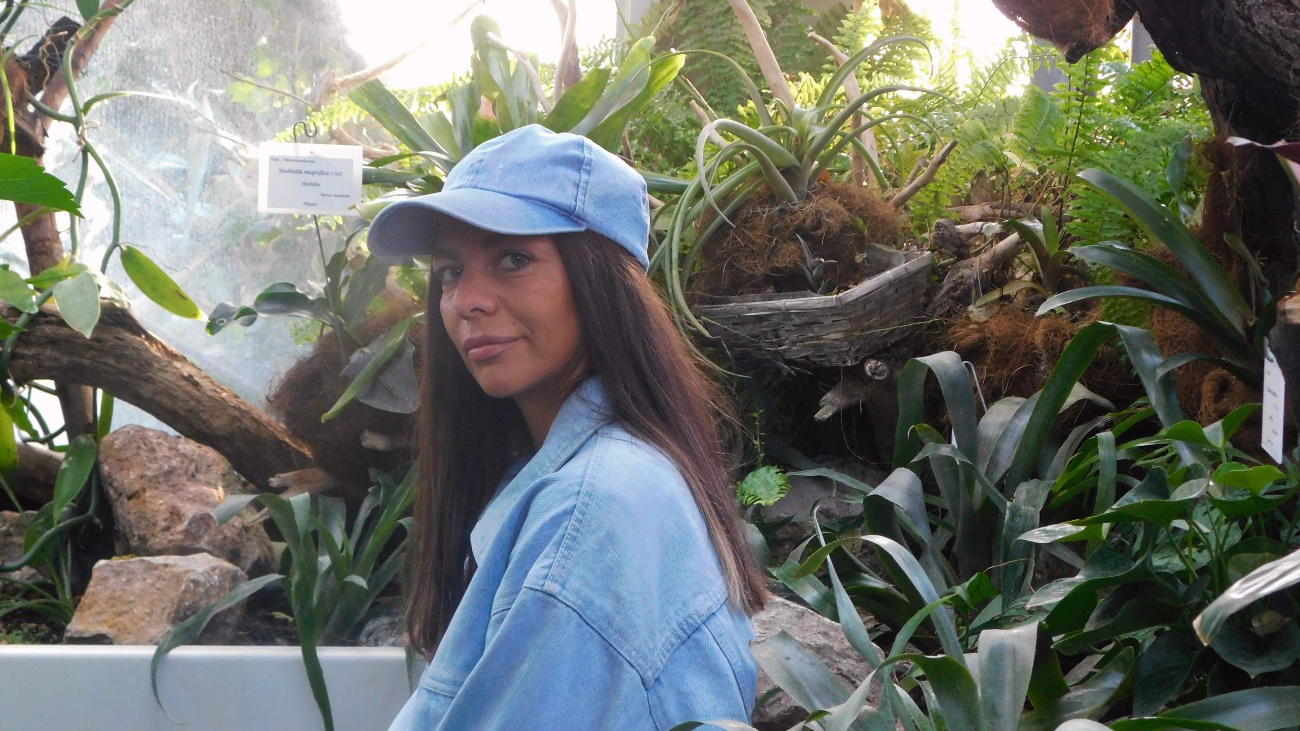 DEE (6) · Artist Profile