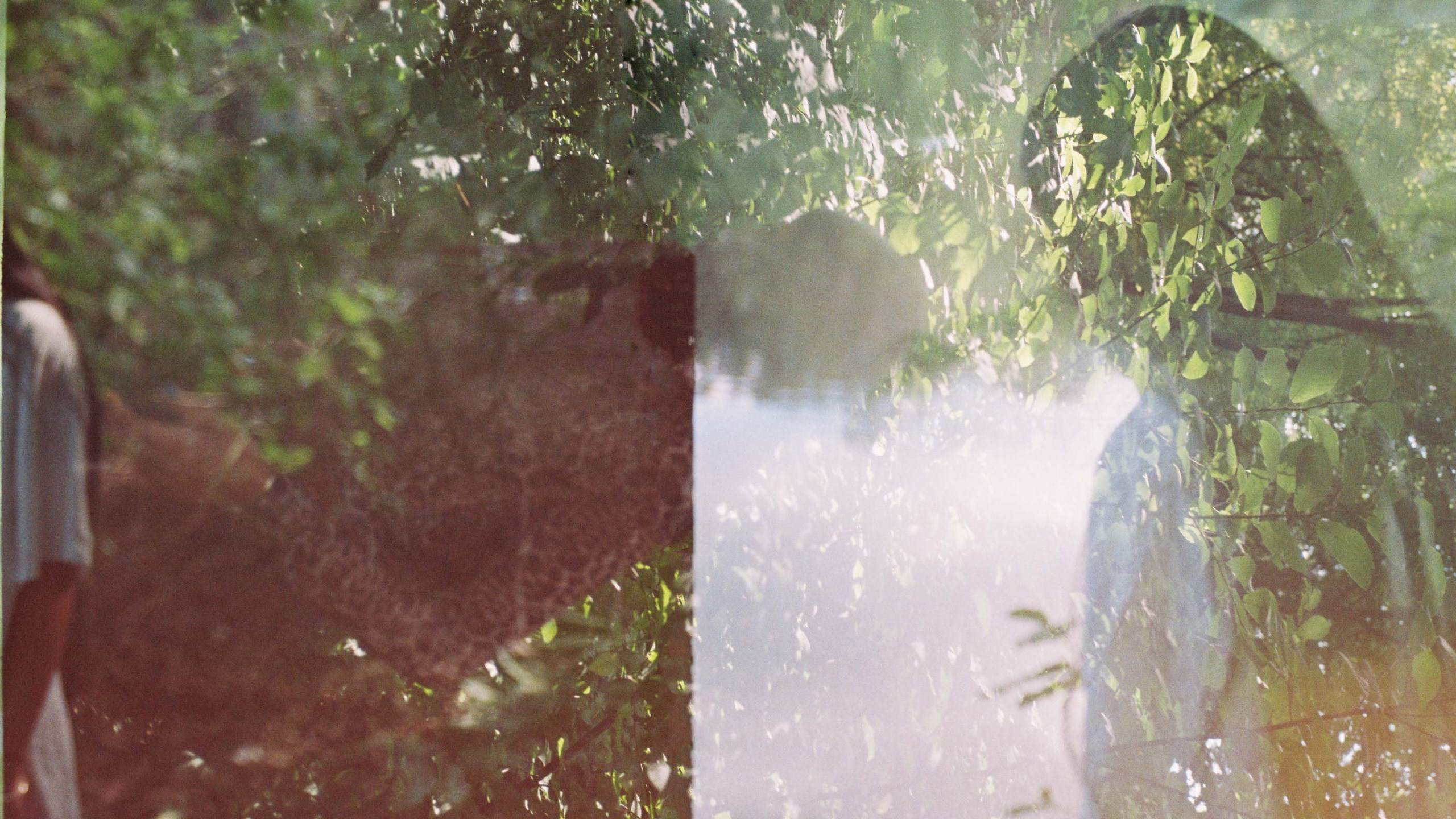 DINA · Artist Profile