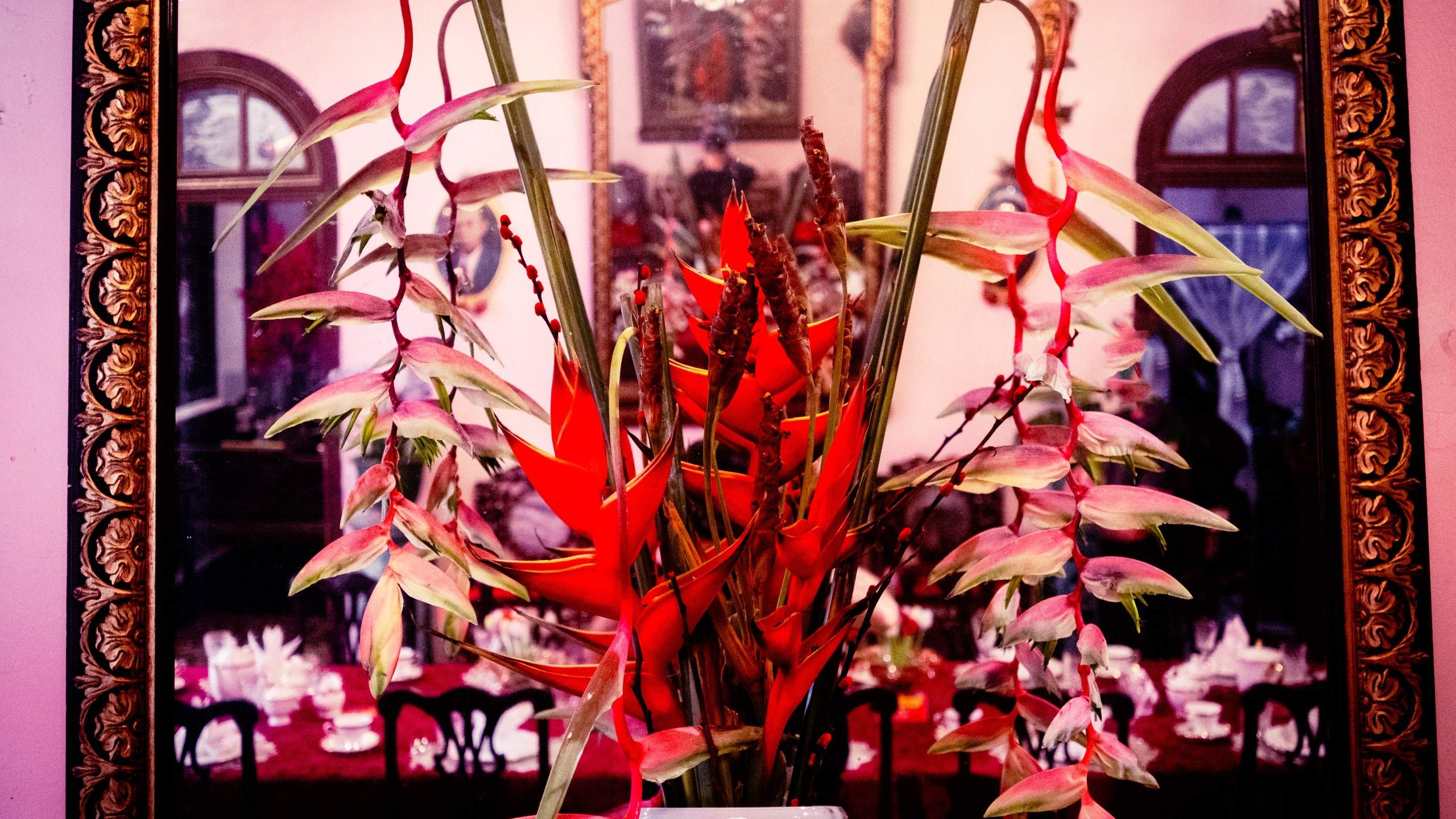 Gojitmal · Artist Profile