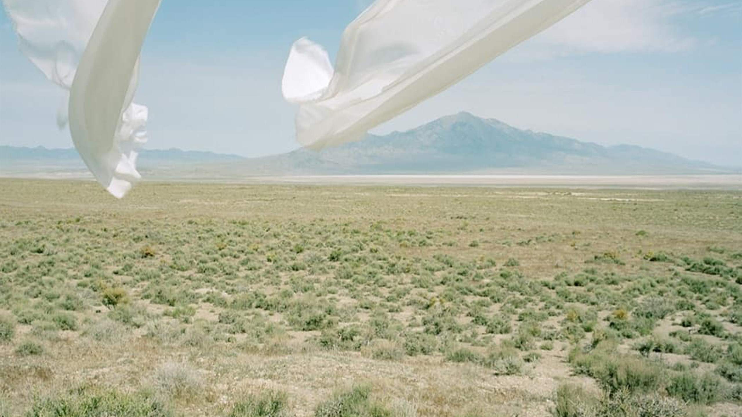 Lucas Adrian · Artist Profile