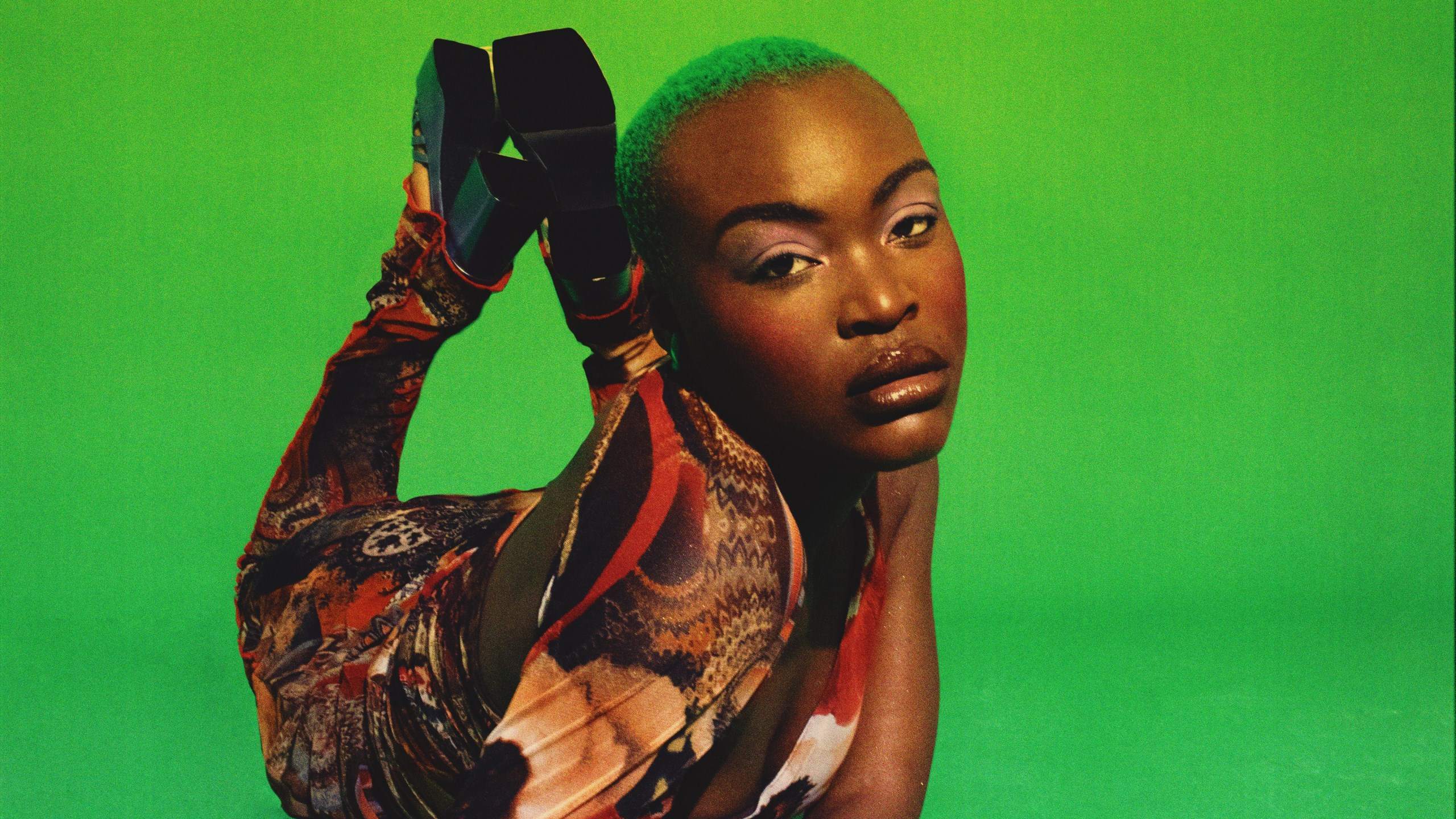 Pongo · Artist Profile