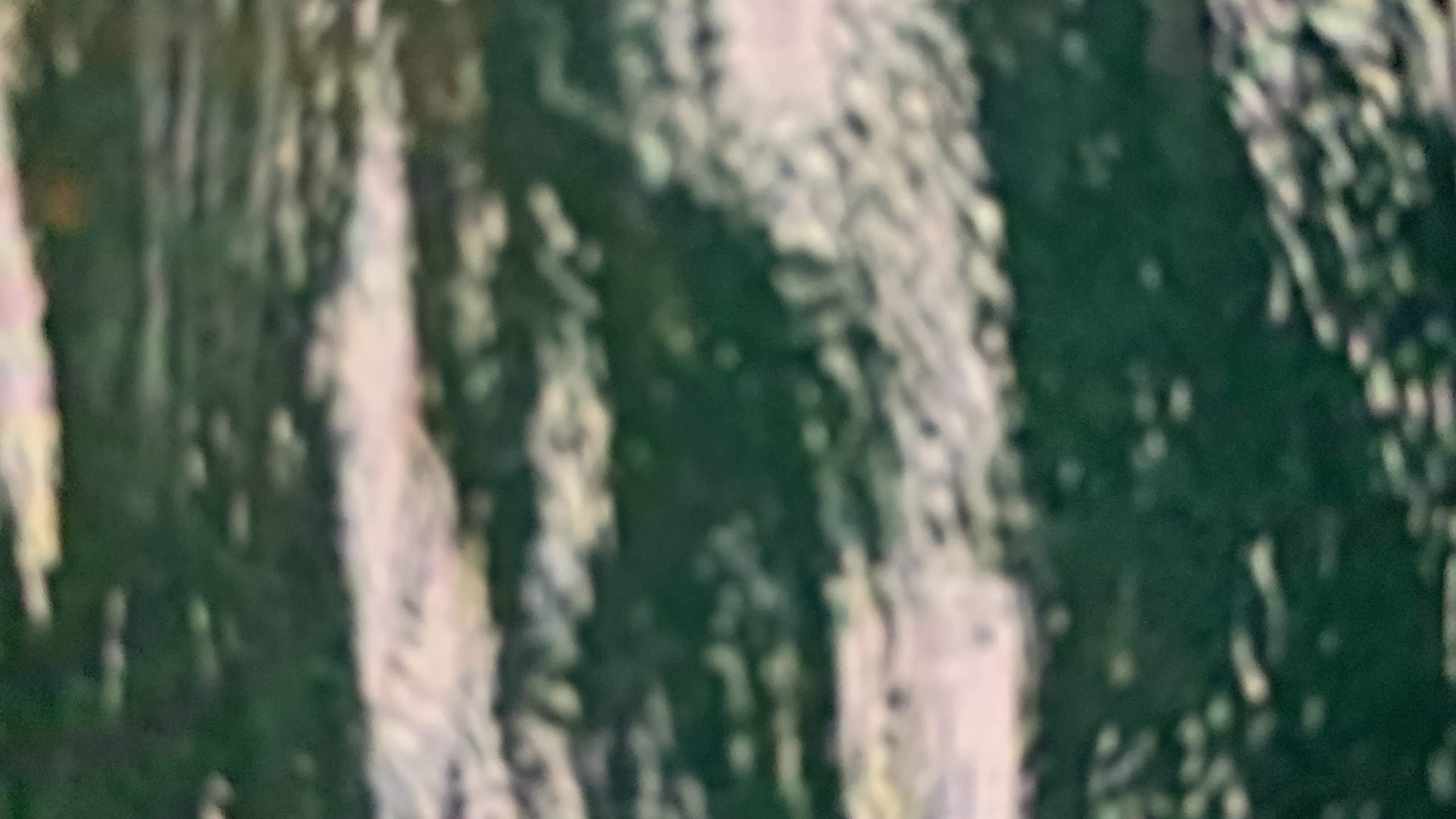 selo · Artist Profile