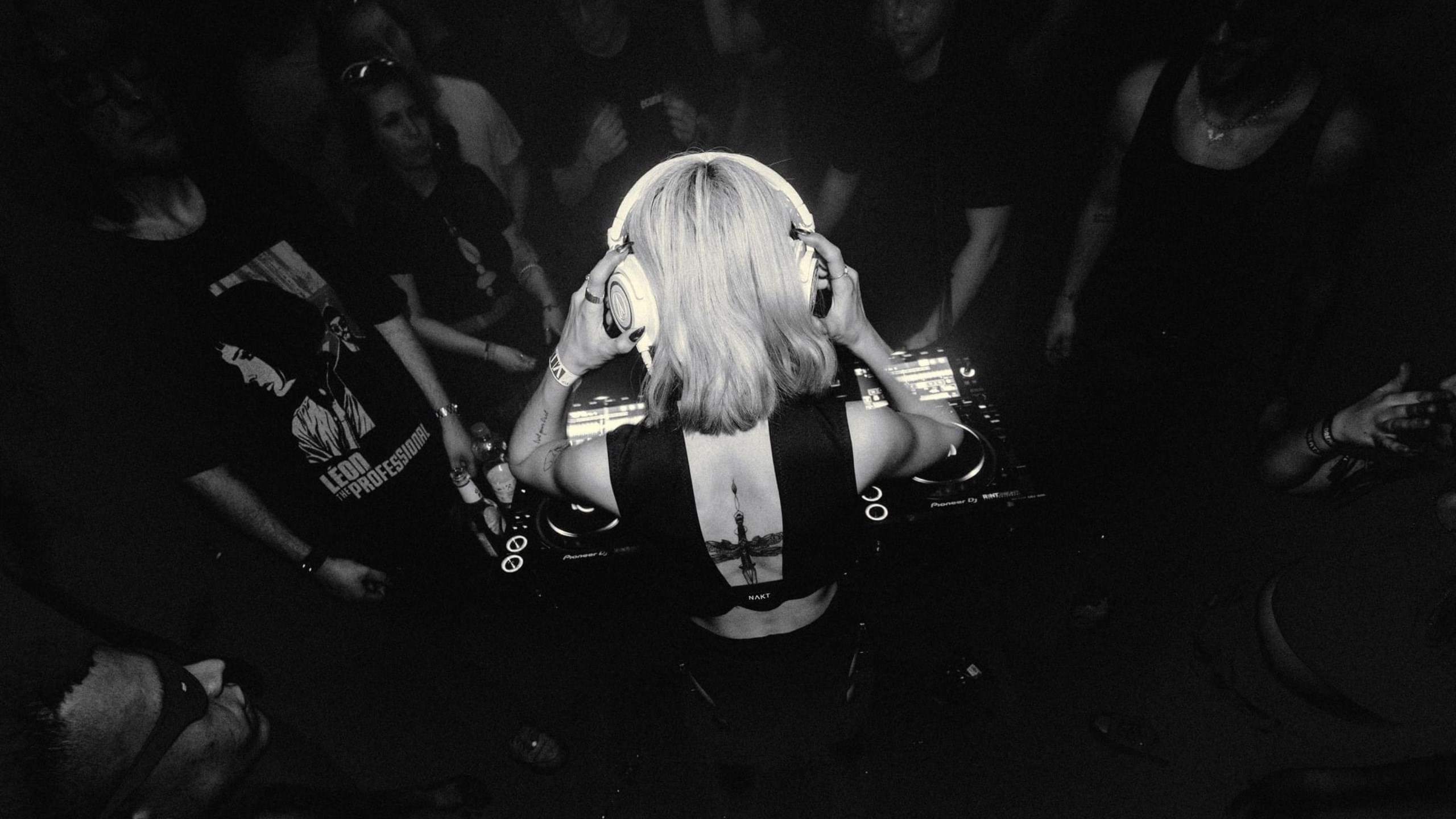 SENAIDA · Artist Profile