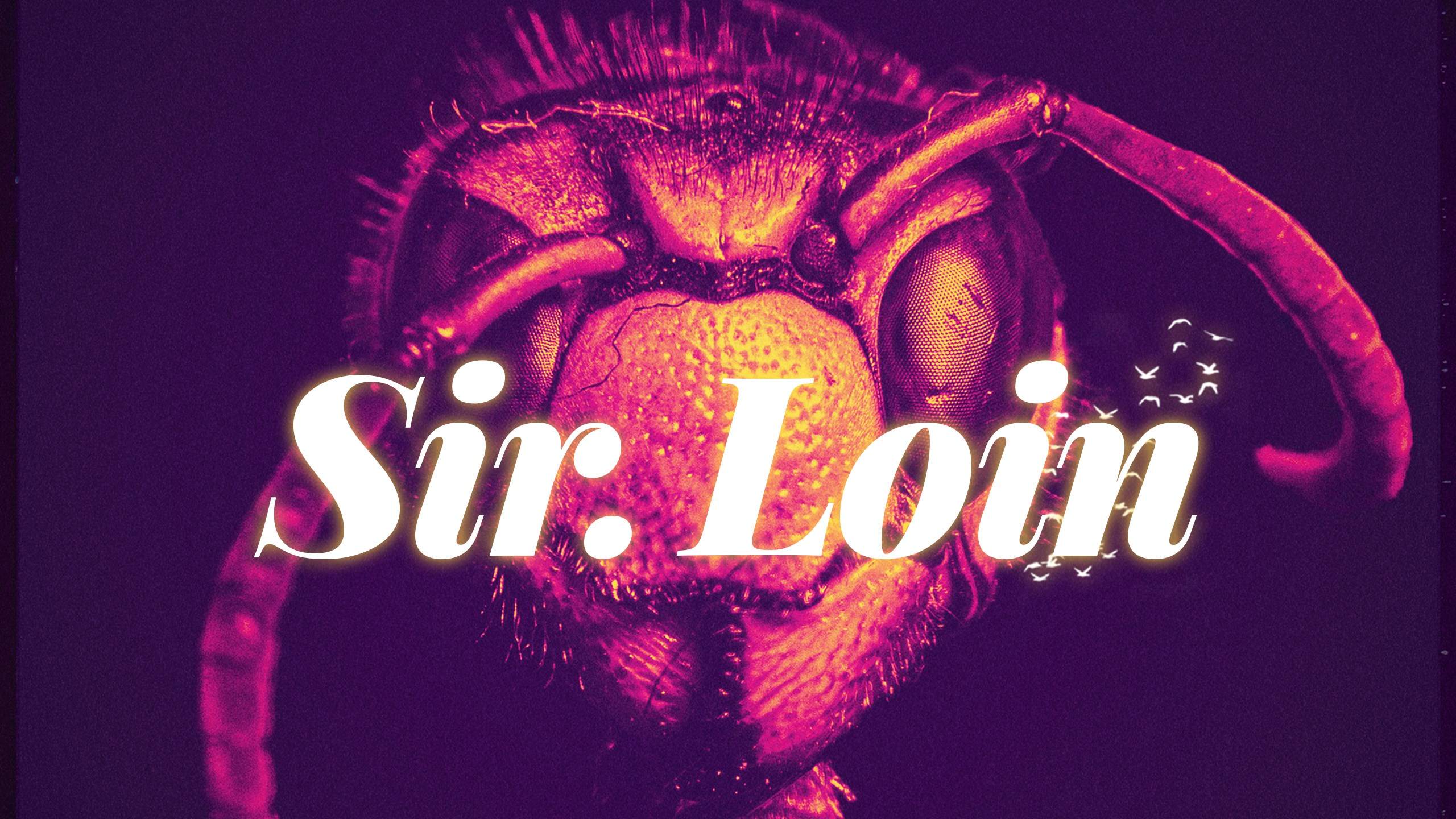 Sir. Loin · Artist Profile