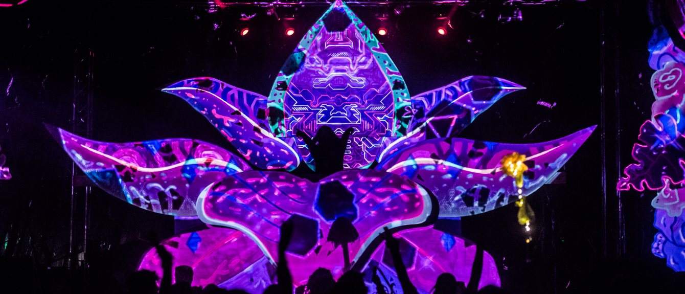 Skwid · Artist Profile