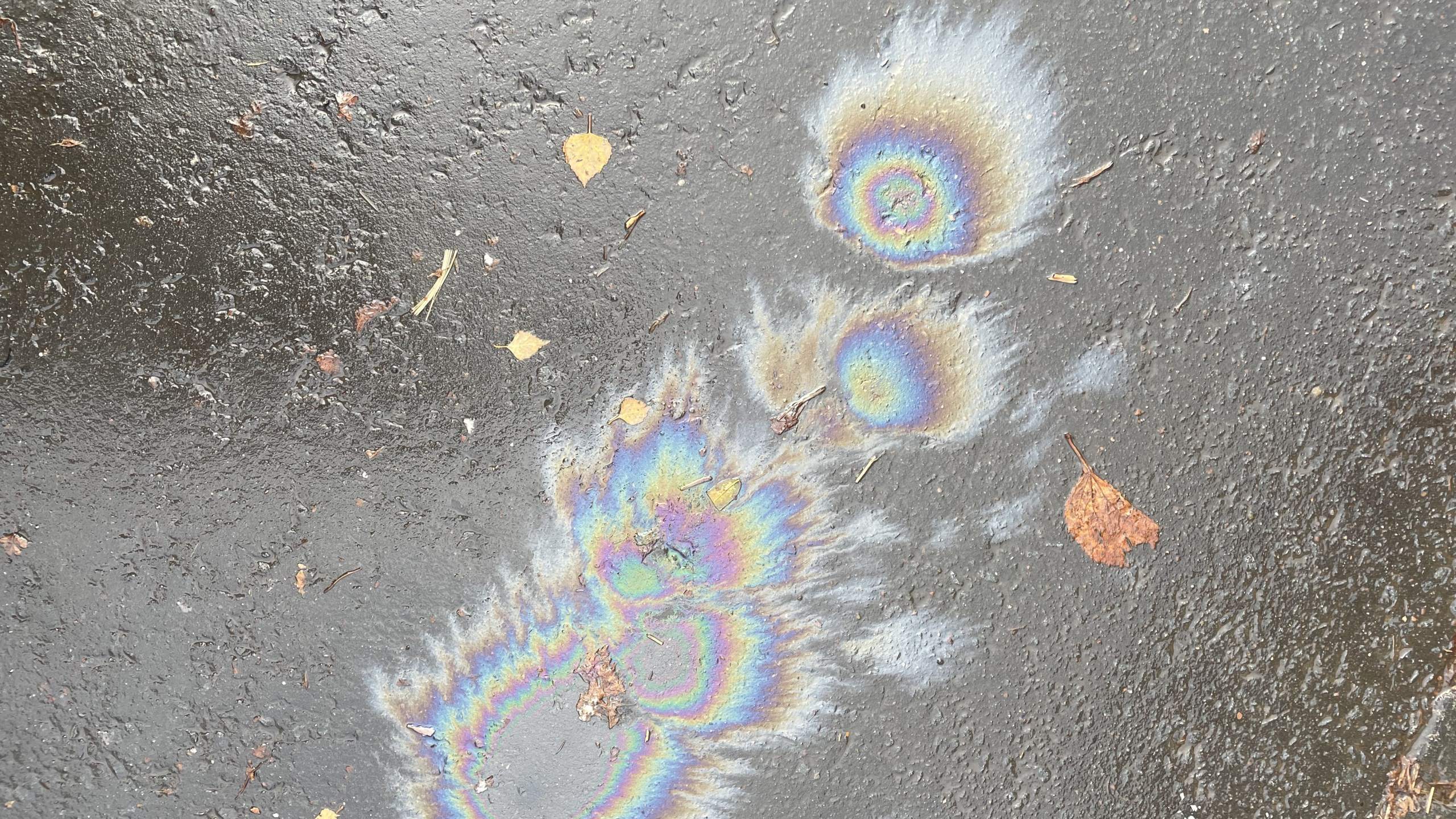 slyn · Artist Profile