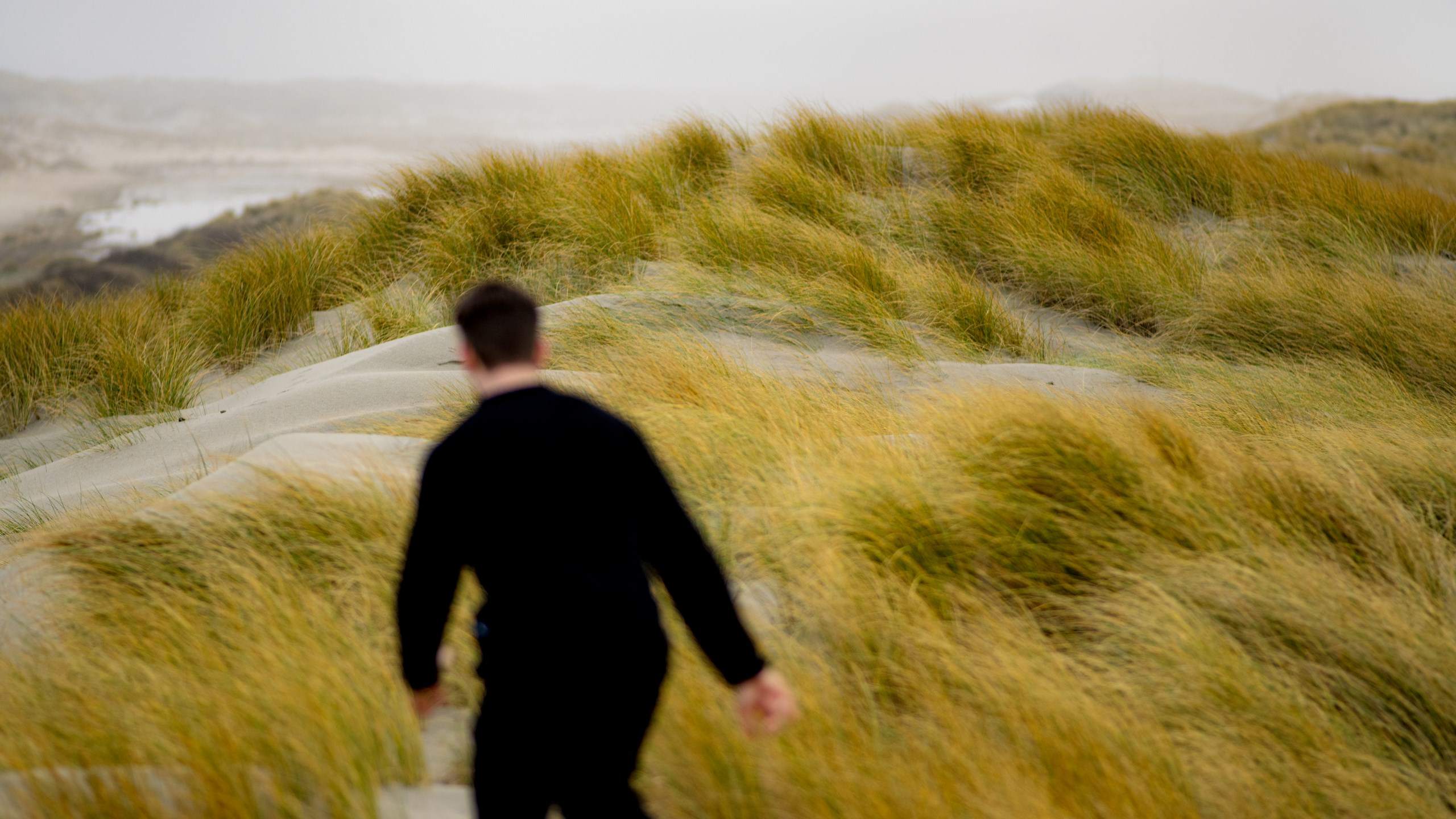 Tonco · Artist Profile