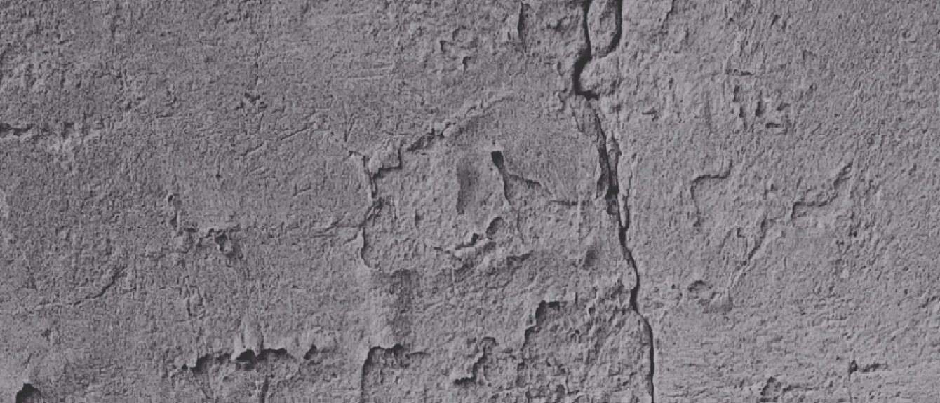 WAYNETTE · Artist Profile