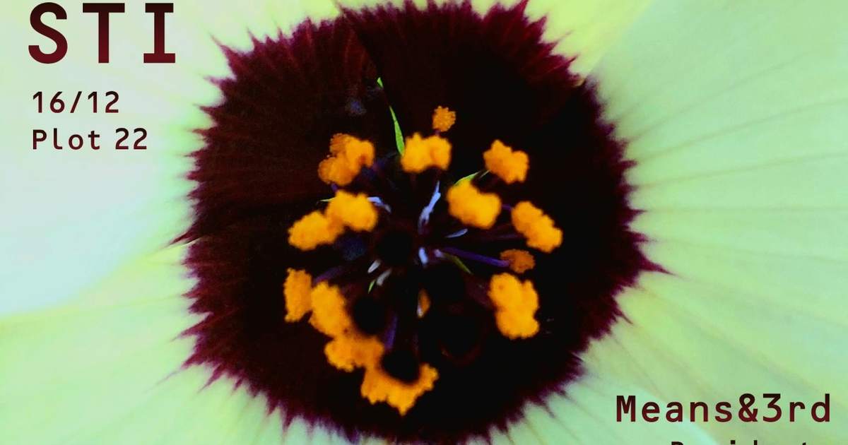 STI #40 at Plot 22, Sheffield