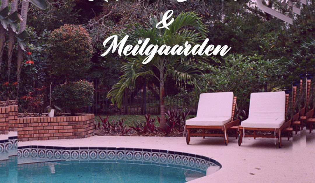 Andrew Devlin and Meilgaarden at Black Flamingo, New York