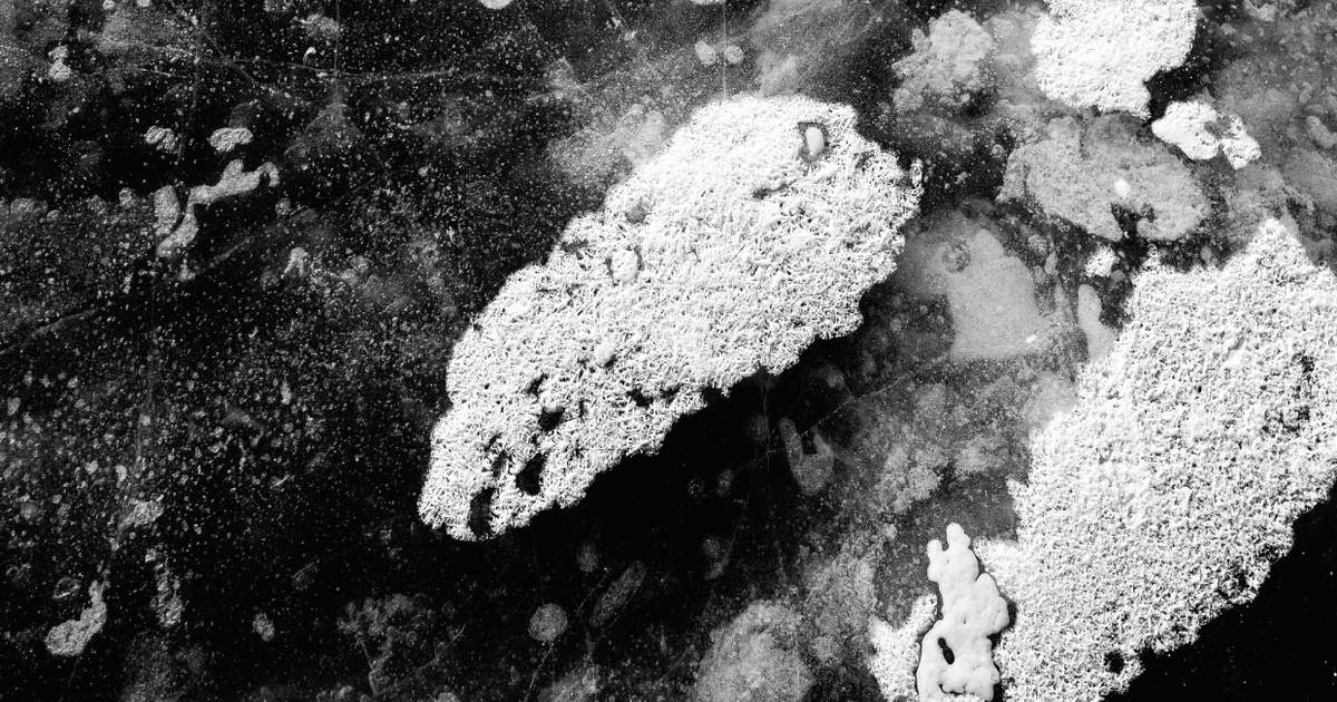 asylum meets the core at TBA, Hong Kong