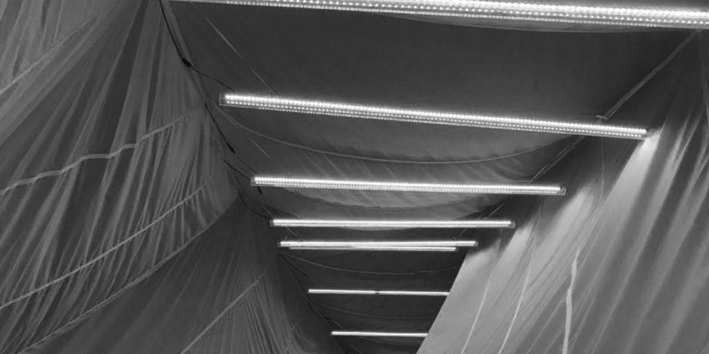 scopes Opening: Alex Kassian / Moody Mehran / Candy Pollard at Veronica ...