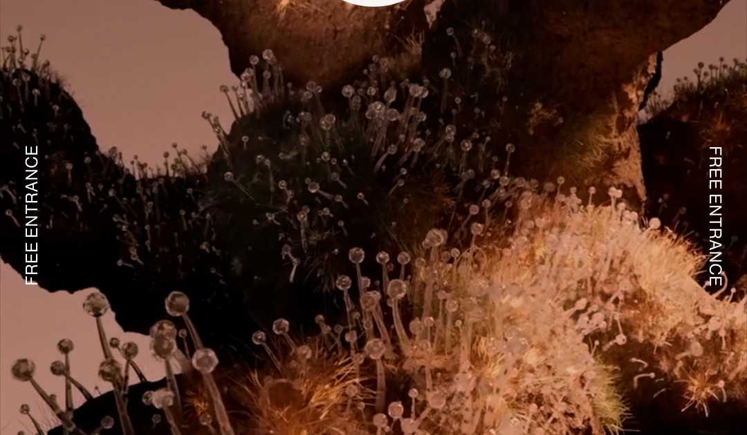 KULT:R pres. Morgan Dope (MEX), Rade Badjin, Poliformat, Una Nikolic at ...