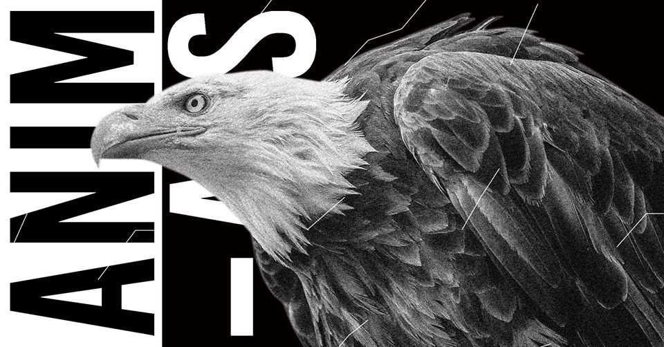 Animals House to Techno Vol.10 at Le Chapiteau - La Belle de Mai, Marseille