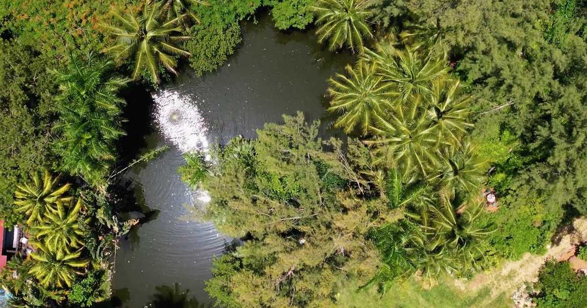 A return to the elements. Miami at TBA, Miami