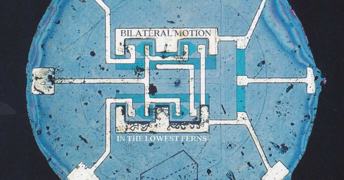 SPATIAL presented by Bilateral Motion at In The Lowest Ferns, Missouri