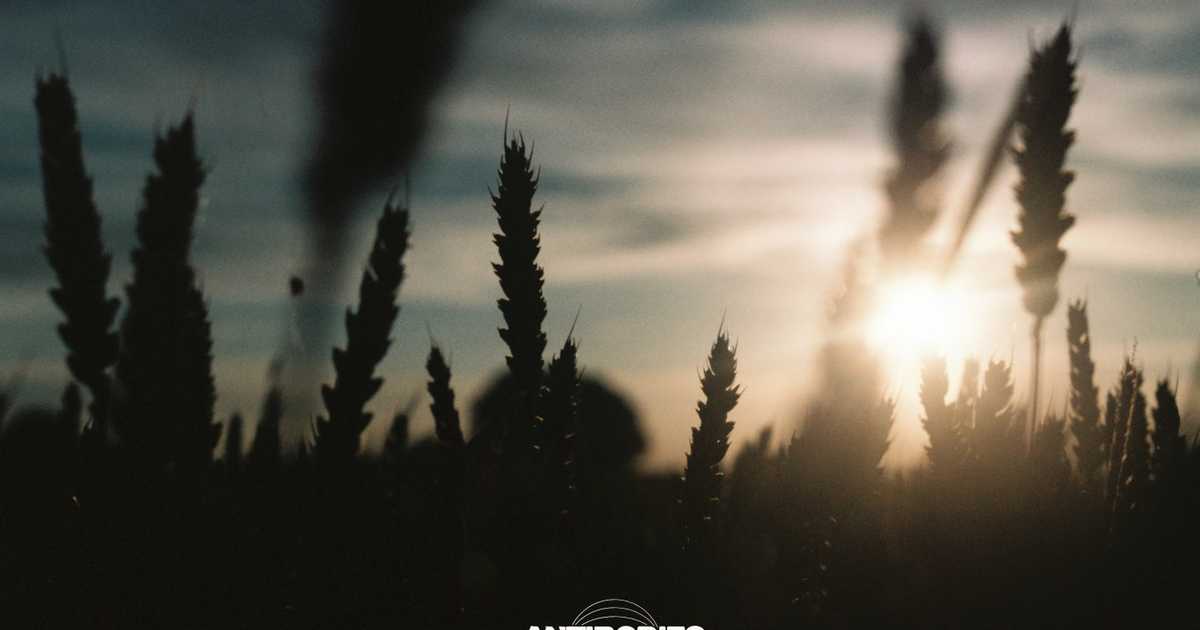 Antibodies Festival at TBA - Secret Location, South + East