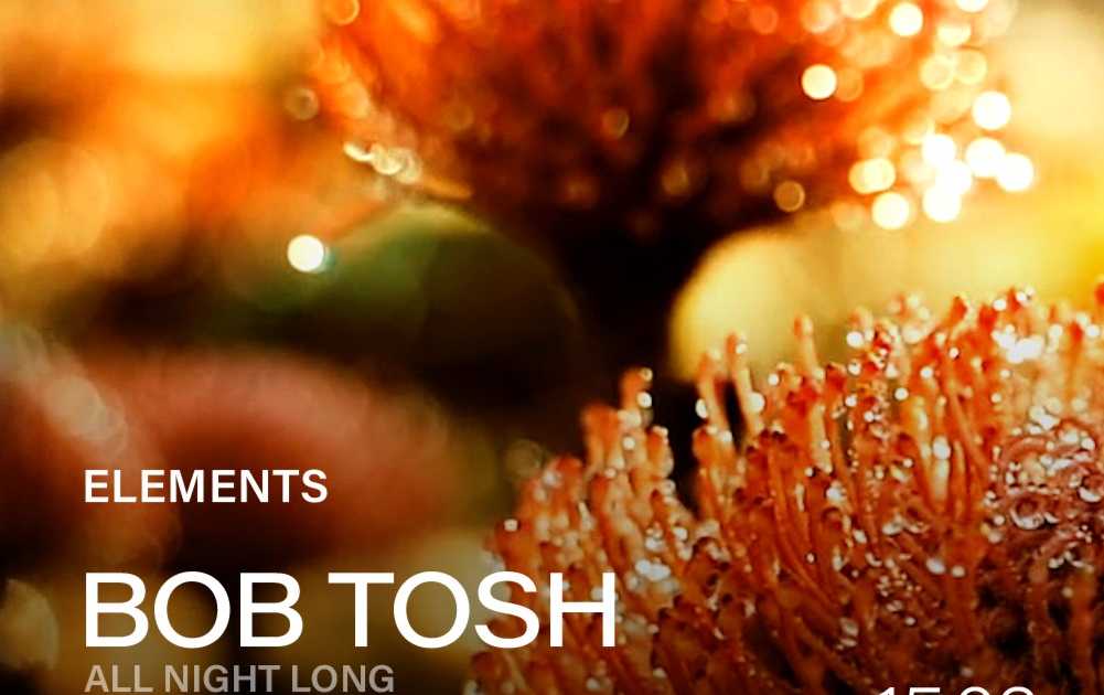 Bob Tosh - by ELEMENTS en TBA - Elements Club, Palermo, Buenos Aires