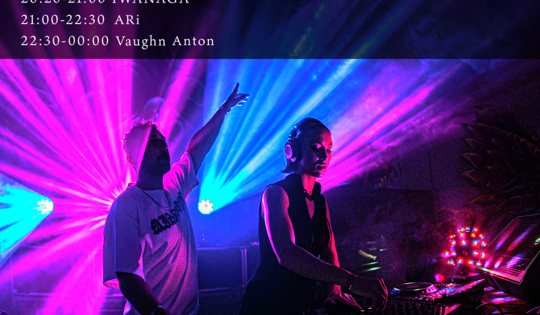 lollapalooza presents progressive house・melodic techno Vaughn Anton ...