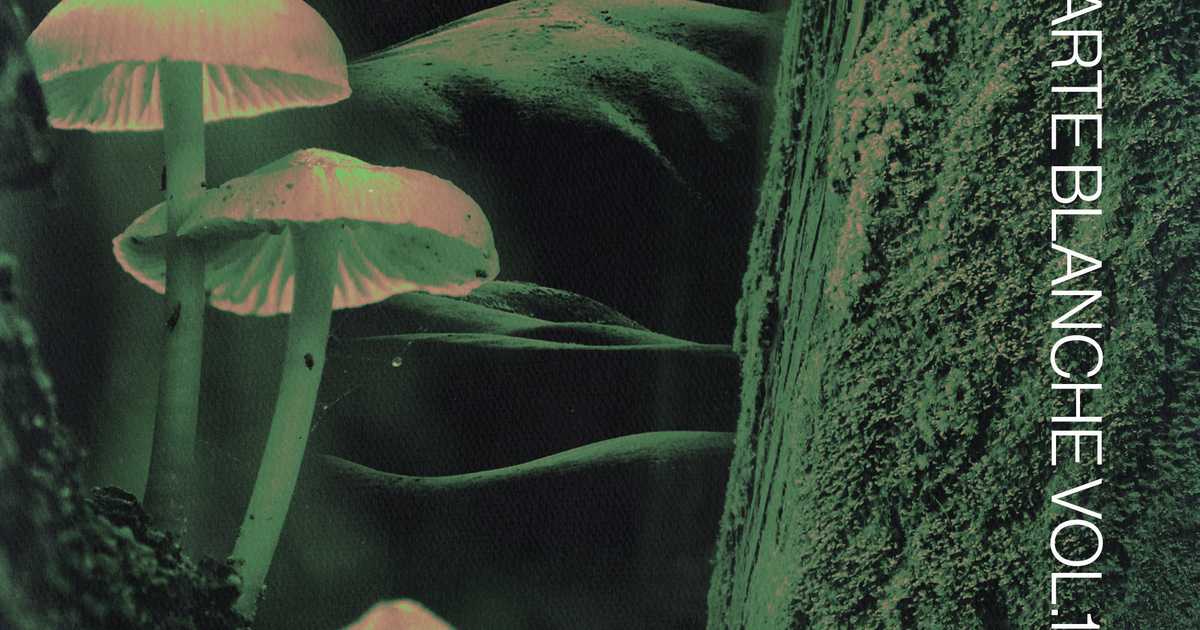 Carte Blanche Vol.10 with Lea Occhi / Endogrōōv / Dobbo at Club 69, Glasgow