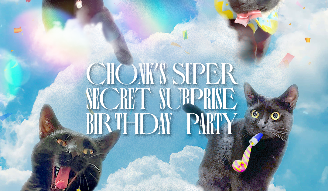 Chonk's Super Secret Surprise Birthday Party at Wonderville, New York City