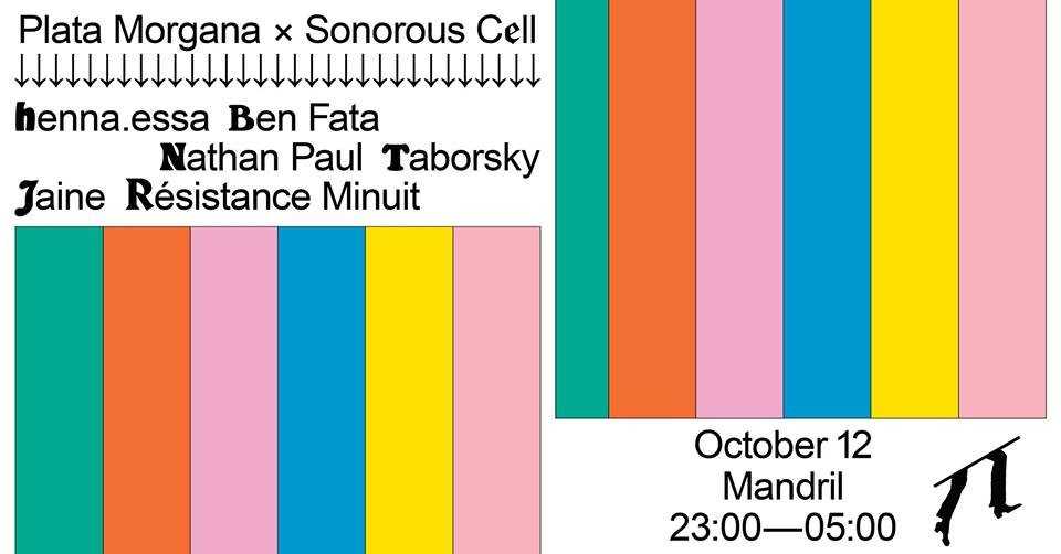 Plata Morgana x Sonorous Cell en Mandril, Países Bajos