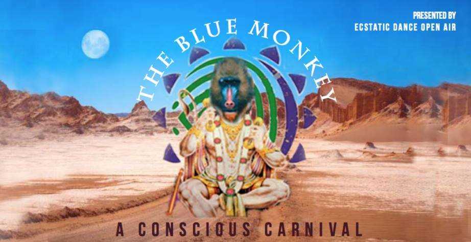 The Blue Monkey Ecstatic Dance Music Jam Sauna at Panke, Berlin