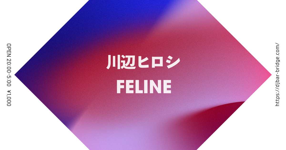 川辺ヒロシ / FELINE at DJ Bar Bridge, Tokyo