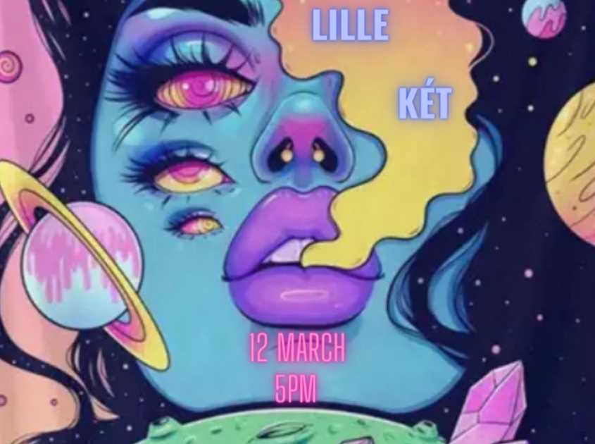 The Wiley Fox at The Wiley Fox, Dublin